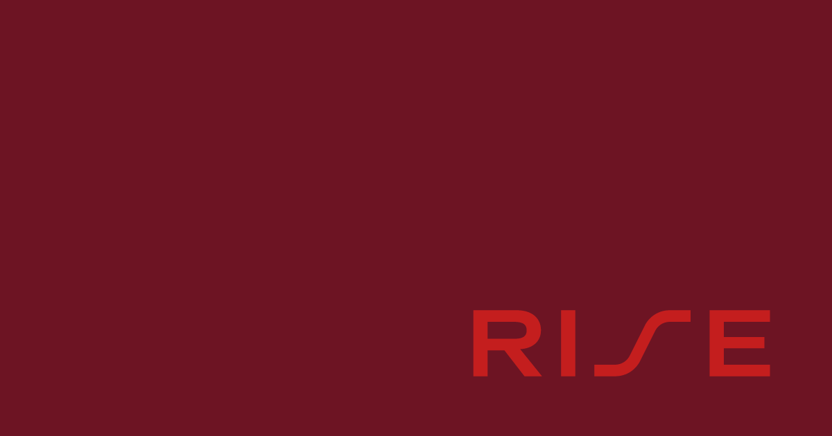Rise Performance Group | Executive Consulting